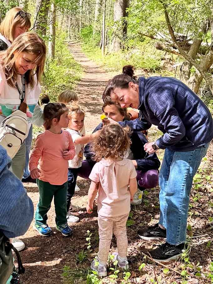 Young explorers discover woodland wonders on guided nature walks that make learning feel like an outdoor adventure.