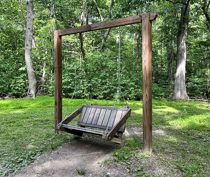This swing proves that sometimes the simplest pleasures are the ones we remember longest and cherish most.