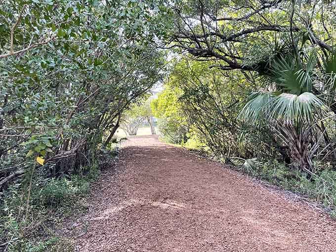Natural trails that make you feel like an explorer without requiring a machete.