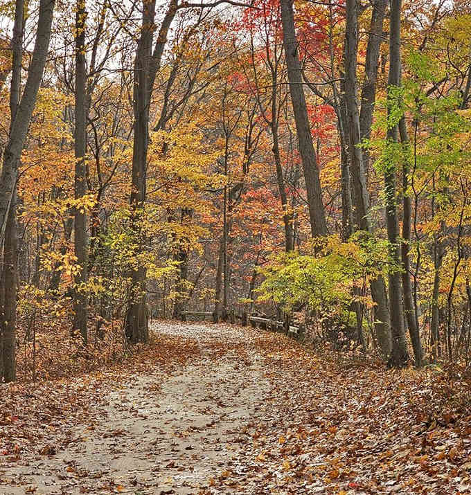 Autumn trails burst with color, proving that the best show in town doesn't require a ticket.