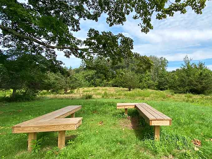 Benches positioned perfectly for contemplating life's mysteries or just catching your breath.
