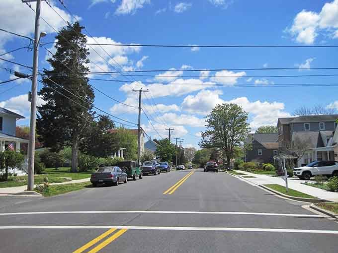Tree-lined streets stretch ahead invitingly, proving that scenic drives don't require mountains or dramatic coastal highways to impress.