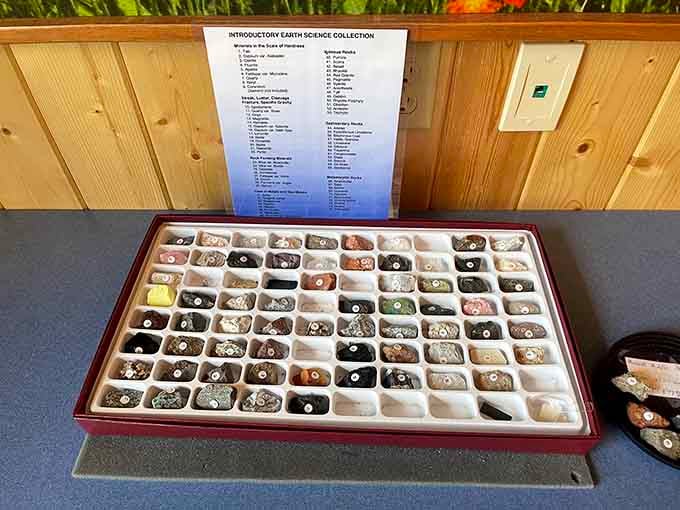 This geology collection proves that rocks can be fascinating when they're organized this beautifully and thoughtfully labeled.