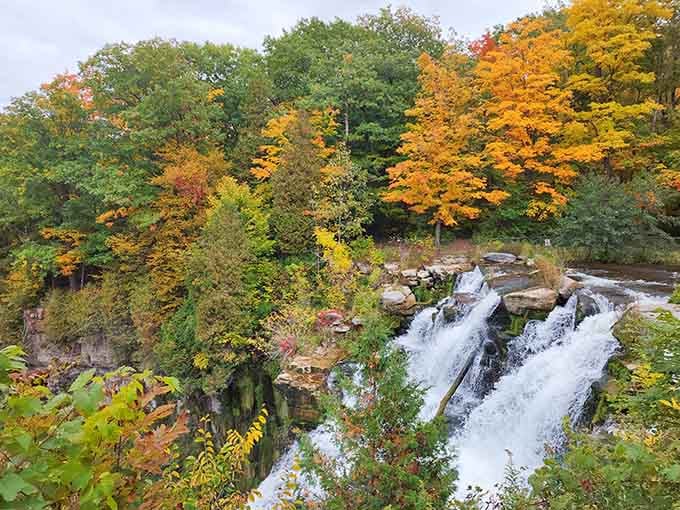 Fall foliage frames the waterfall like nature hired a professional decorator who really understood color theory and drama.