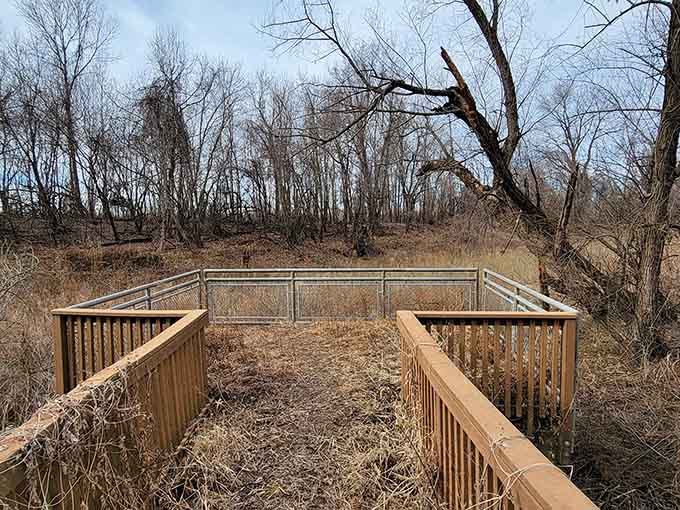 This wooden overlook proves that the best views in life don't require an elevator or admission fee.