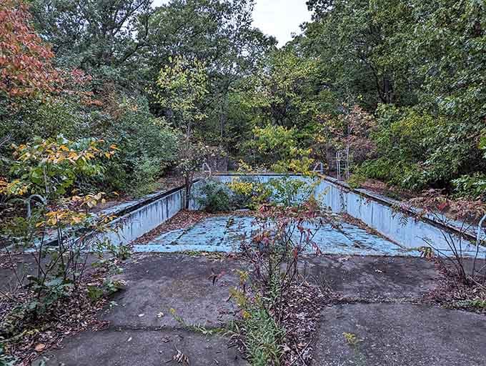 Time has reclaimed this vintage pool, turning concrete and tile into an accidental art installation among the leaves.