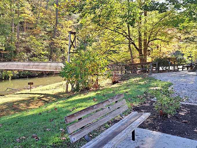 The perfect spot to sit, breathe deeply, and remember that sometimes the best therapy is simply being surrounded by trees.
