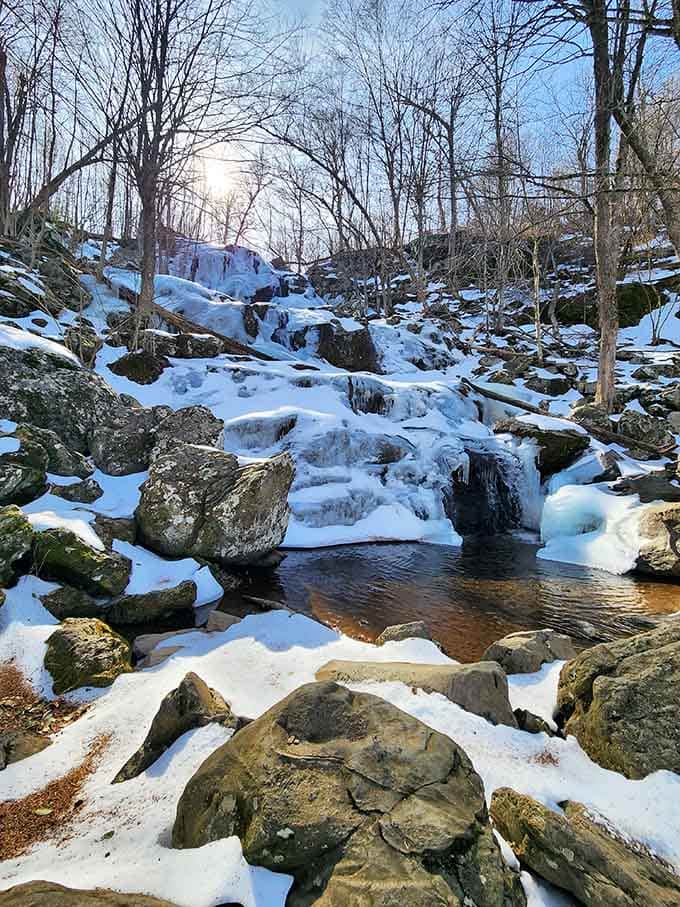 Winter's icy grip turns the falls into a frozen sculpture garden that Mother Nature herself designed.