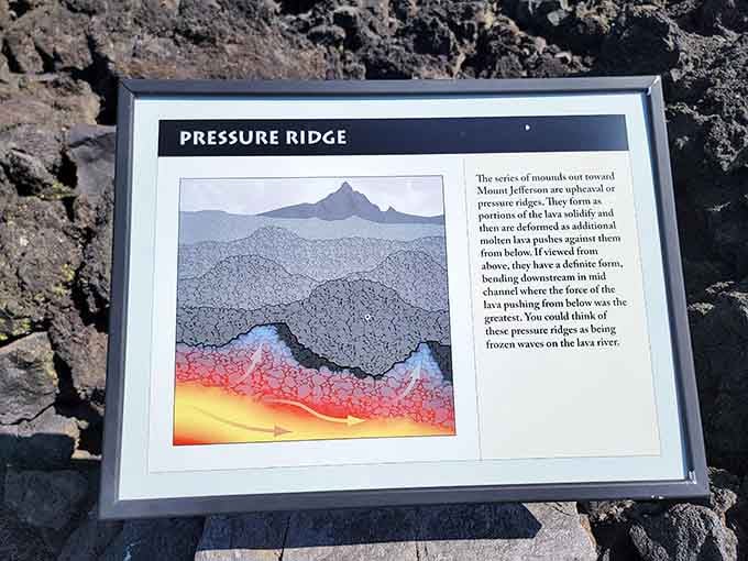 Pressure ridge diagrams reveal the violent beauty beneath your feet, explaining Oregon's fiery geological past clearly.