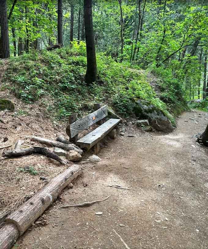 A trail bench is nature’s way of saying “sit down, catch your breath, and actually look around for once.”