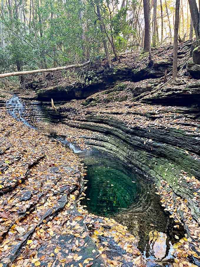 Crystal-clear water reveals every pebble on the bottom, making you wonder why anyone bothers with swimming pool chemicals.