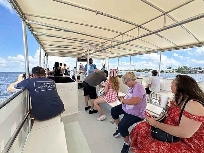The covered deck keeps you comfortable while you scan the waters for fins and tails breaking the surface.