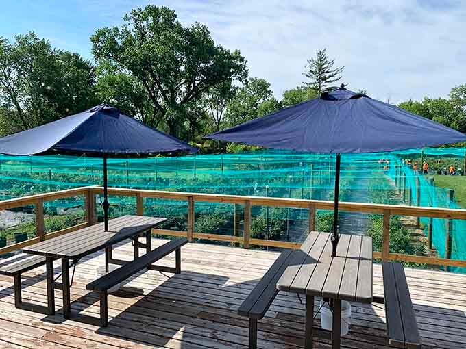 Shaded deck seating with umbrellas overlooking berry fields, perfect for post-picking relaxation and berry planning.