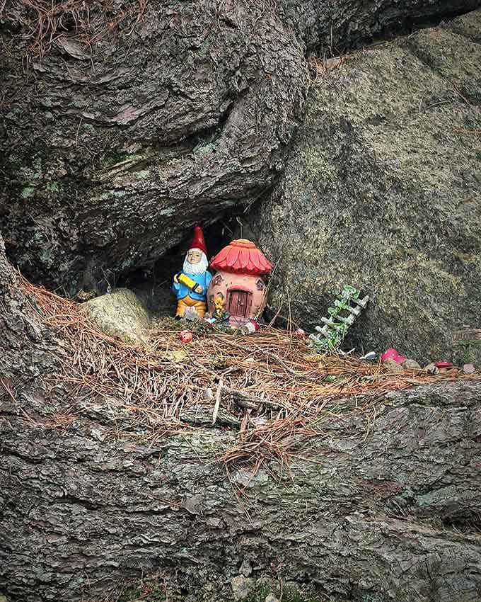 Someone left a garden gnome to guard the cave, which is adorable but probably not pirate-approved security.