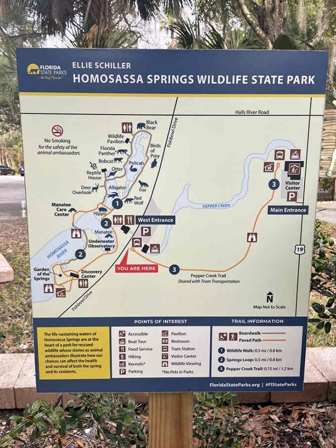 Every great adventure needs a map, especially when hippos and black bears are your potential neighbors.