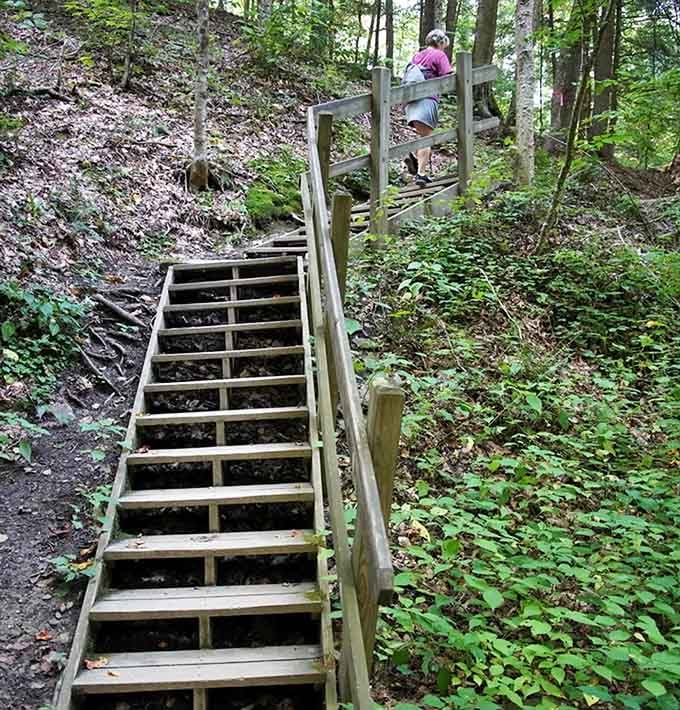 These wooden stairs wind upward through the forest, making the journey feel like an adventure without the suffering.