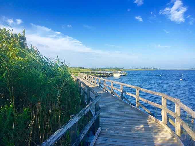 Boardwalks over marshland let you float above the wetlands without getting your boots muddy.