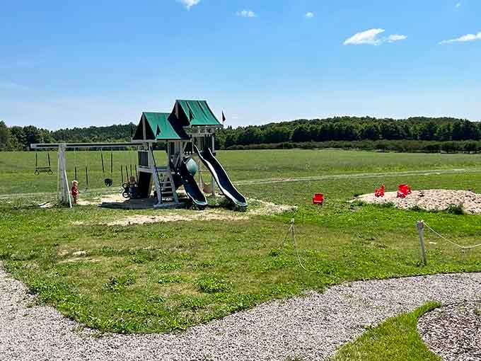 The playground sits amid rolling green fields where kids can actually be kids while parents finally relax nearby.