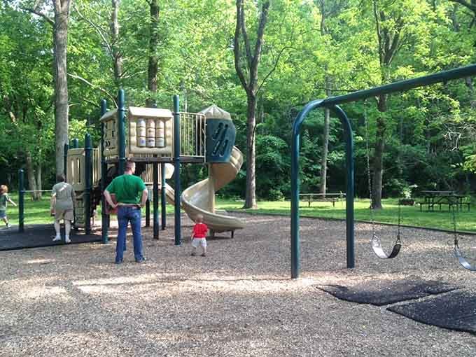 Because even giants need playgrounds, and your kids will absolutely pretend they're climbing in Jurassic Park here.