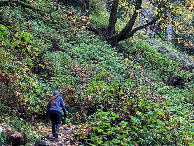 Solo hikers find peace on trails where the only traffic jam involves deciding which waterfall to visit first.