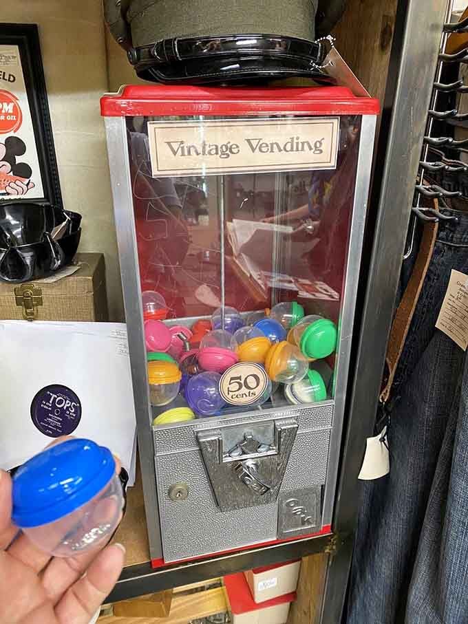 That vintage vending machine dispenses nostalgia in colorful plastic capsules, fifty cents of pure childhood joy.