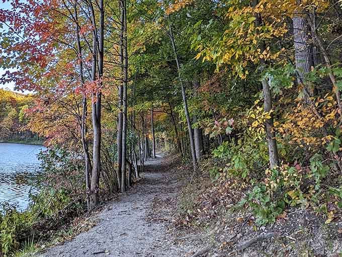 Fall trails at Greenbrier look like someone spilled an entire paint store's autumn collection across the forest in the best way.
