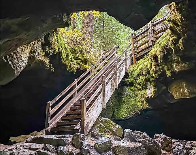 That wooden staircase is your portal from summer warmth to frozen wonderland in about thirty seconds flat.
