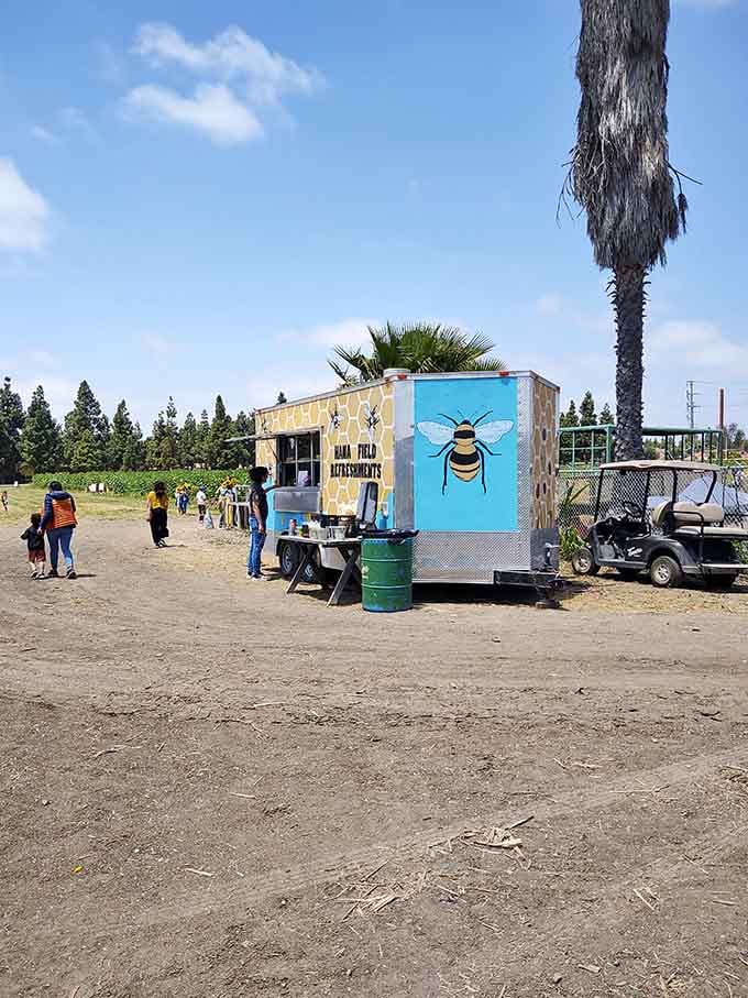 This cheerful food truck with its bee mural knows exactly what tired, happy visitors need after wandering through acres of flowers.