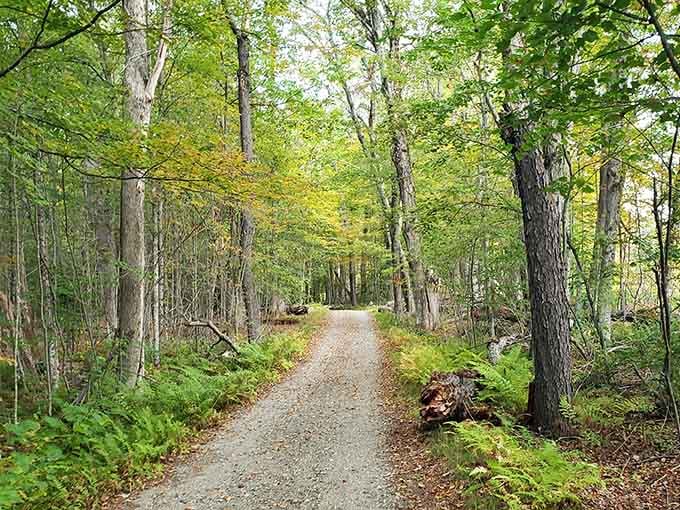 Dirt roads meander through forests so thick, you half expect Thoreau to emerge from behind a tree.
