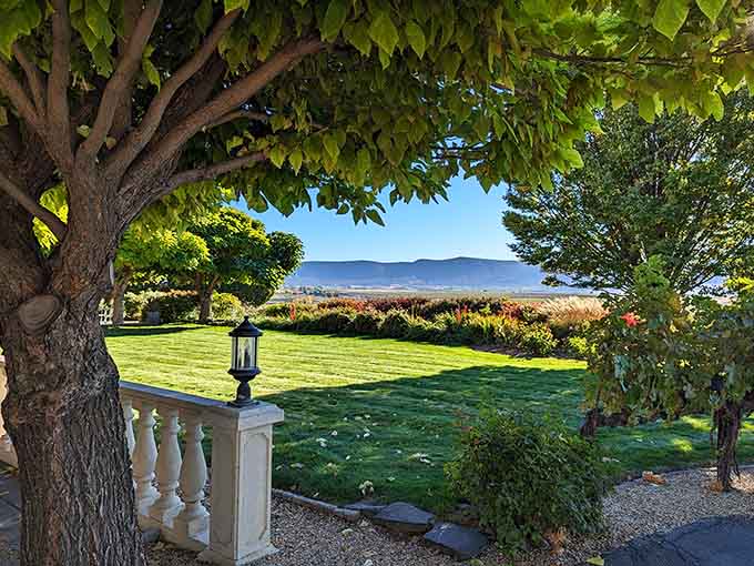 Manicured lawns meet endless vineyards in a view that photographs simply cannot do justice to.