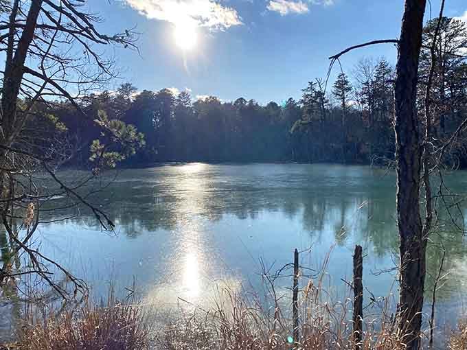 Morning light dancing across the water creates a scene worthy of your phone's wallpaper rotation.