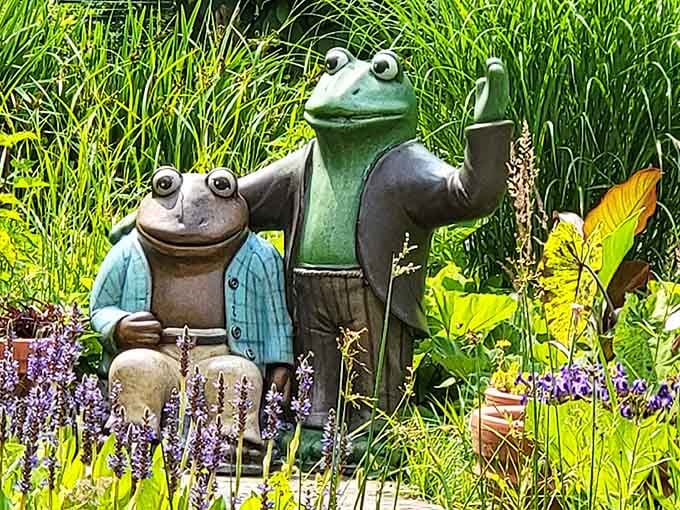 These well-dressed frogs have better style than most people at the grocery store on Sunday.