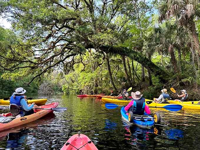A rainbow flotilla of kayakers glides beneath moss-draped oaks, paddling through what feels like prehistoric Florida.