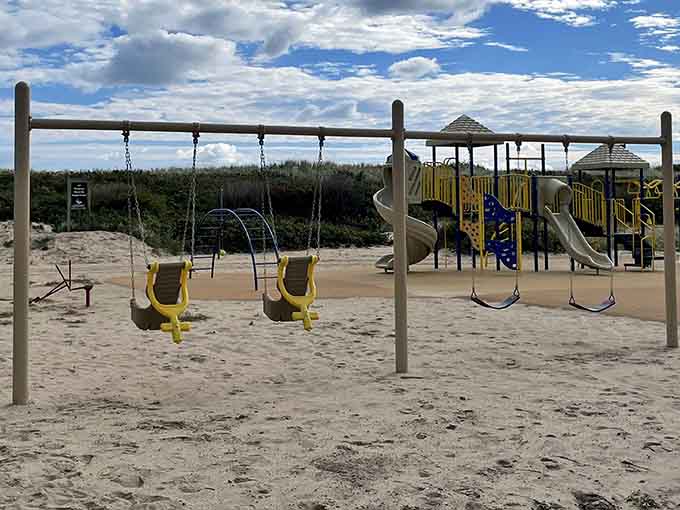 Playground equipment proving that swings and slides never go out of style, regardless of your age or dignity.