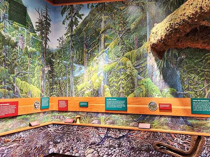 Interactive displays inside teach you why this ecosystem thrives, making science feel like discovering hidden treasure.