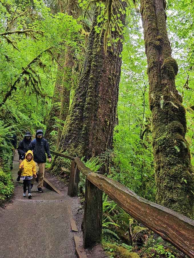 Rain gear on, spirits high, the Hoh Rain Forest is equally magical for the whole family, puddles included.