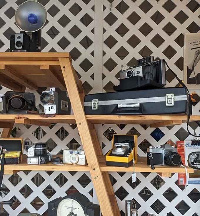 Vintage cameras lined up like they're ready to capture one more perfect moment in time.