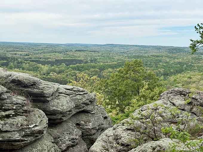 Layered rock shelves frame an expansive wilderness vista that makes every uphill step feel absolutely worthwhile and rewarding.
