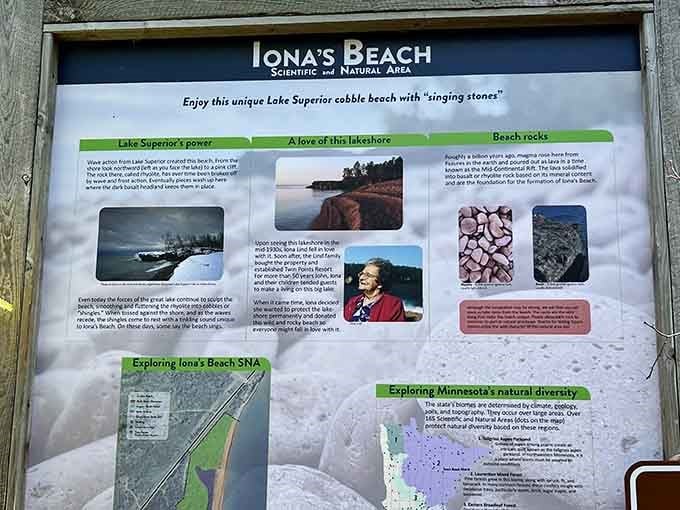 Everything you need to know about this geological wonder, conveniently displayed before your forest walk begins.
