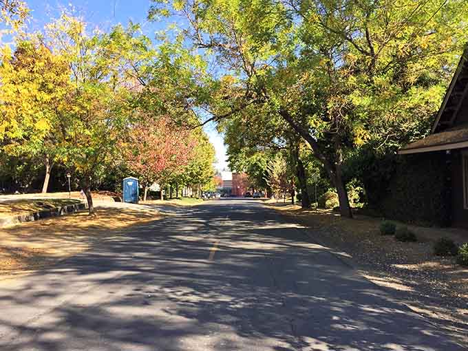 When autumn arrives, this quiet street proves that the best things in life are actually free to enjoy.