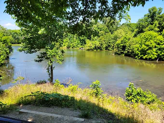 The water here holds secrets and probably some very happy fish who've found their own slice of paradise.