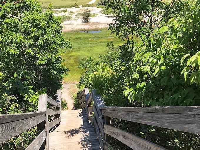 Wooden stairs descending toward marsh views make you feel like you're entering another world entirely.