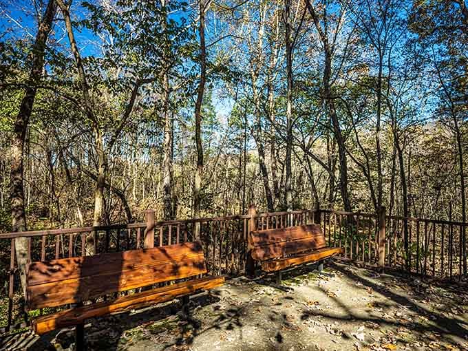 Scenic overlook benches provide front-row seats to one of Missouri's most underrated natural wonders.