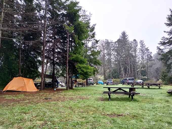 Camping here means waking up to ocean breezes instead of your neighbor's alarm clock – fair trade.