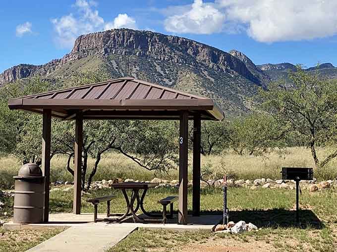 A picnic spot with mountain views that turns a simple sandwich into a memorable dining experience.