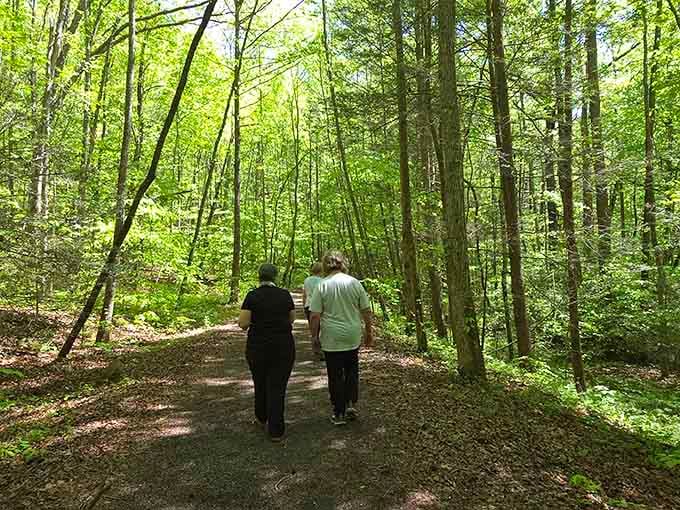 These forest trails invite you to slow down, breathe deep, and remember what silence actually sounds like.