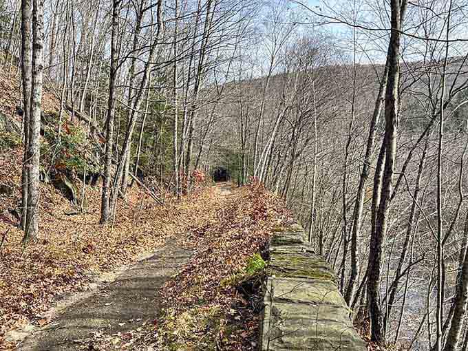 The old railroad bed cuts through hillsides where trains once chugged with serious Victorian determination.