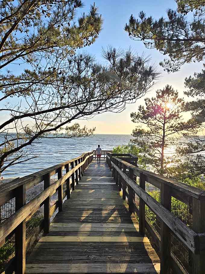 The boardwalk stretches toward the bay, offering front-row seats to nature's daily spectacular performance show.