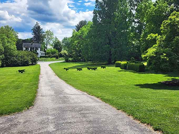 When topiary hounds line your driveway, you know you've arrived somewhere special, or possibly Wonderland.