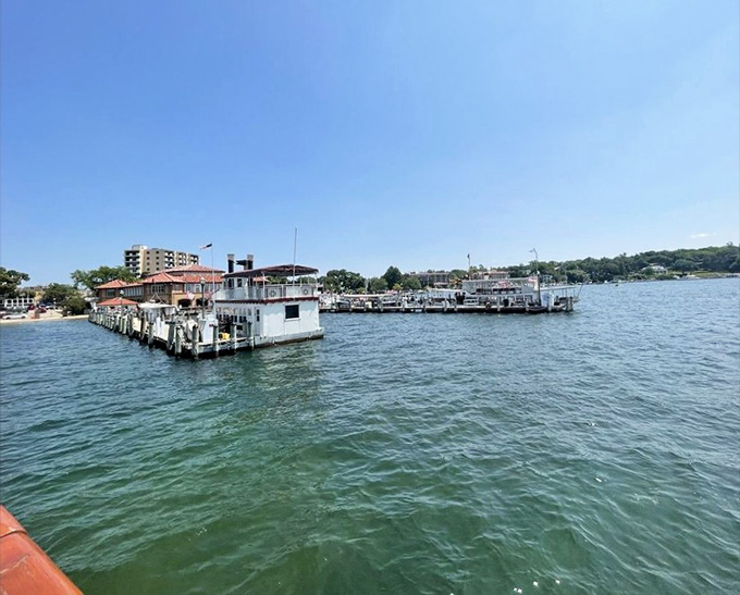 The bustling harbor shows off the cruise line's impressive fleet, each vessel ready for its next adventure.